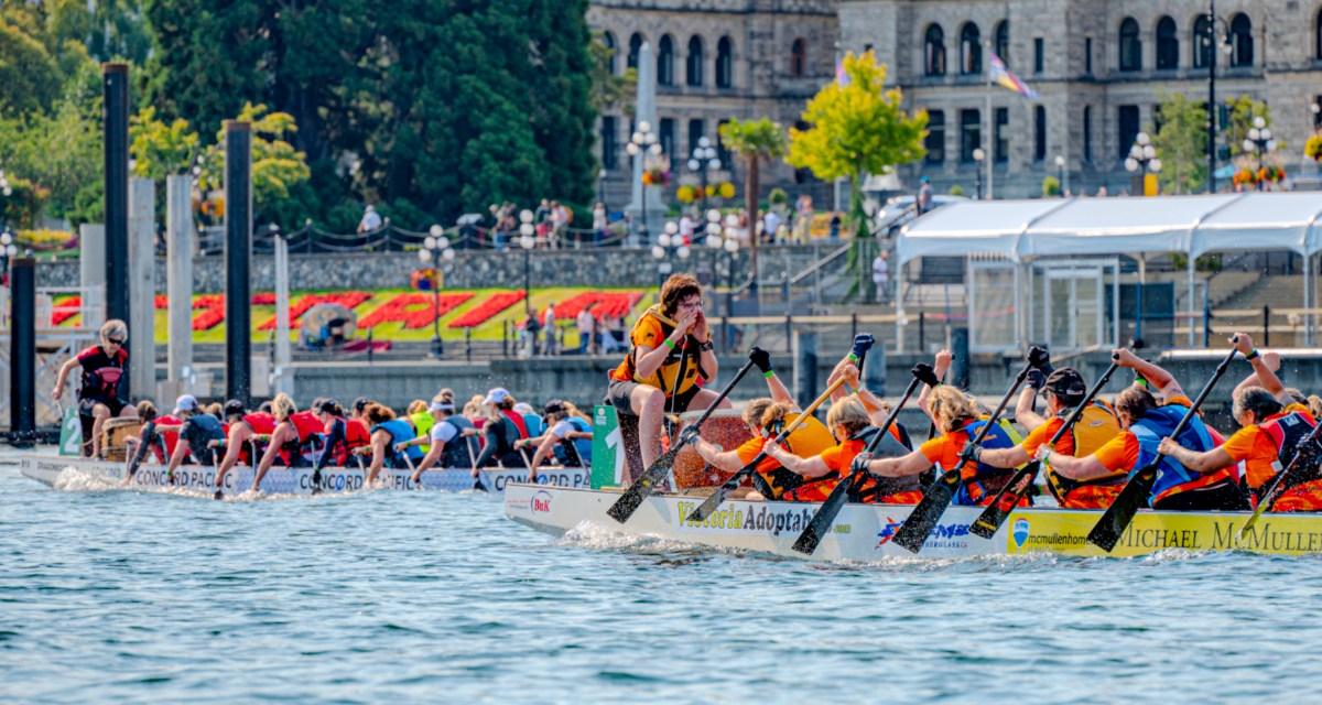 Culture, community and competition at Victoria’s two Dragon Boat ...